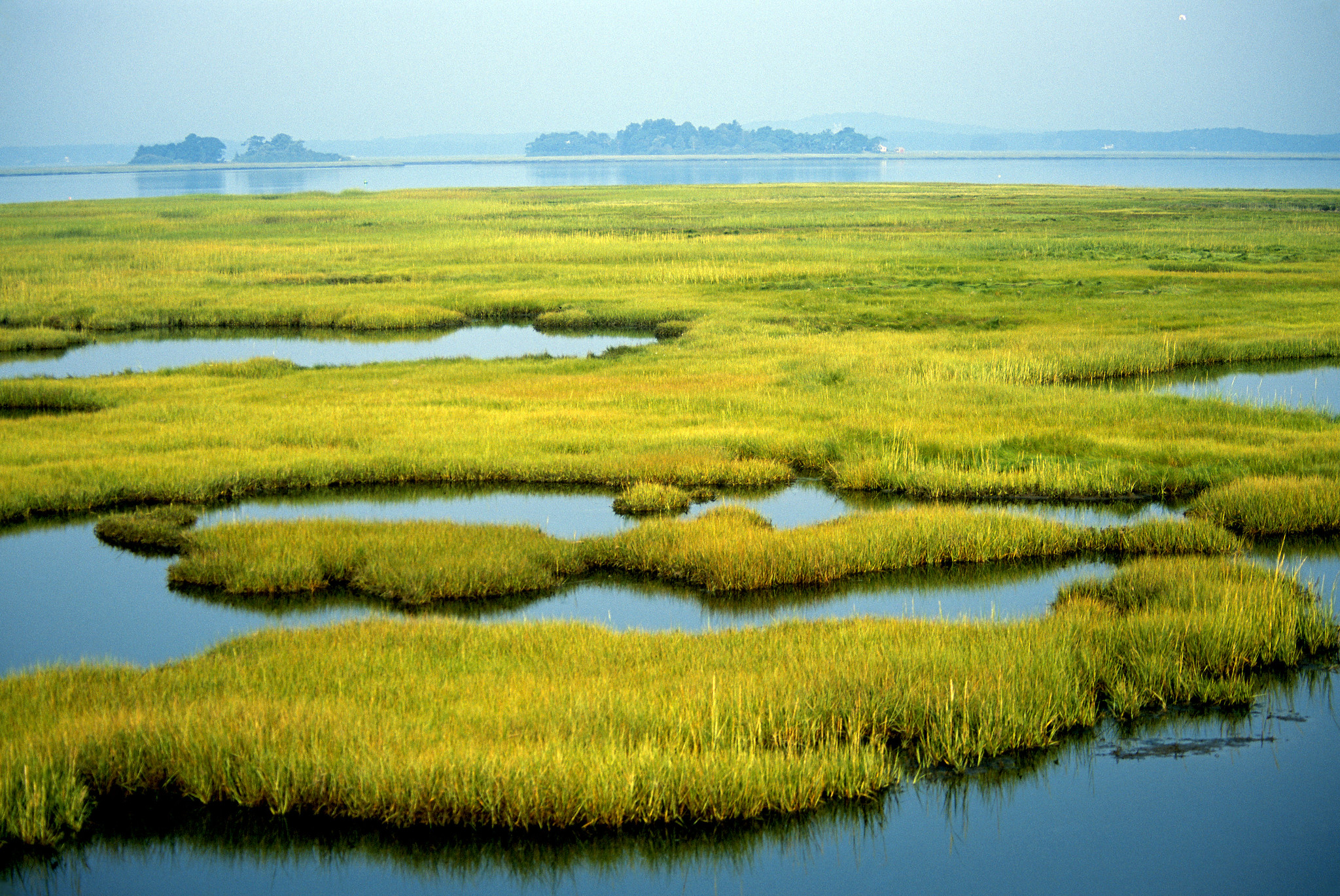 Wetland FWS gov Wetland FWS gov